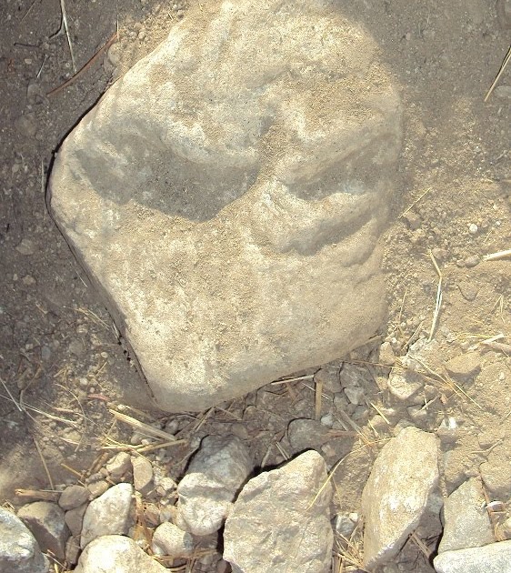 NICK'S ODD PIC(S) OF THE DAY: The Stone-Faced Alien
