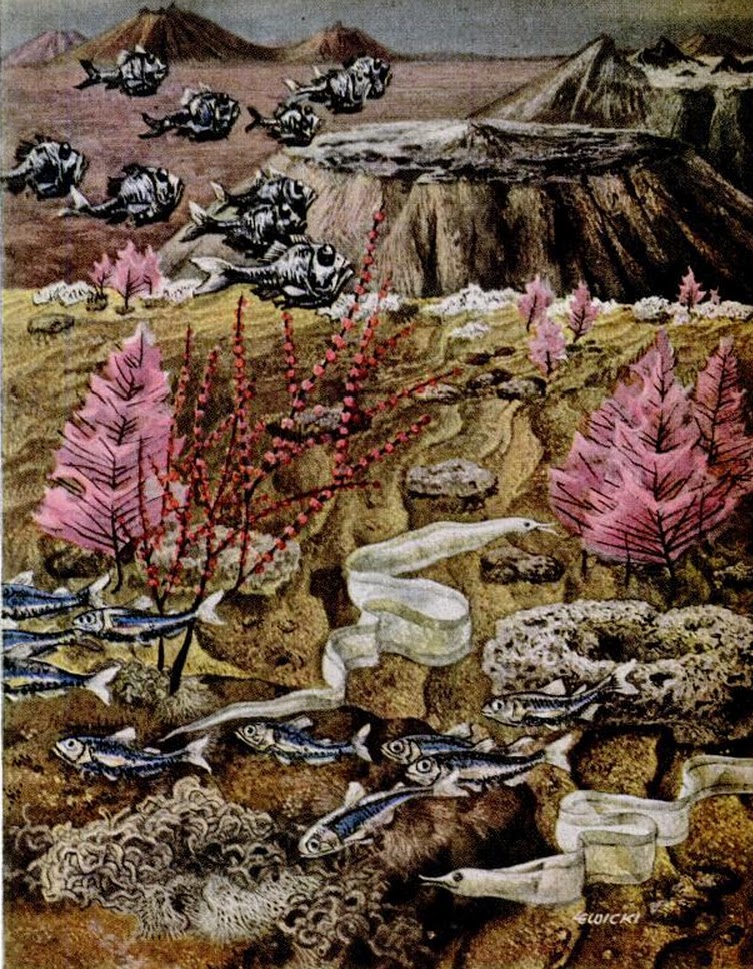 My Pretty Baby Cried She Was a Bird: Miracle of the Sea (1953 Sea Life ...