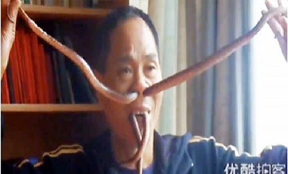 [Video]: Watch the Man Who Swallows Live Snakes | TNN.ng