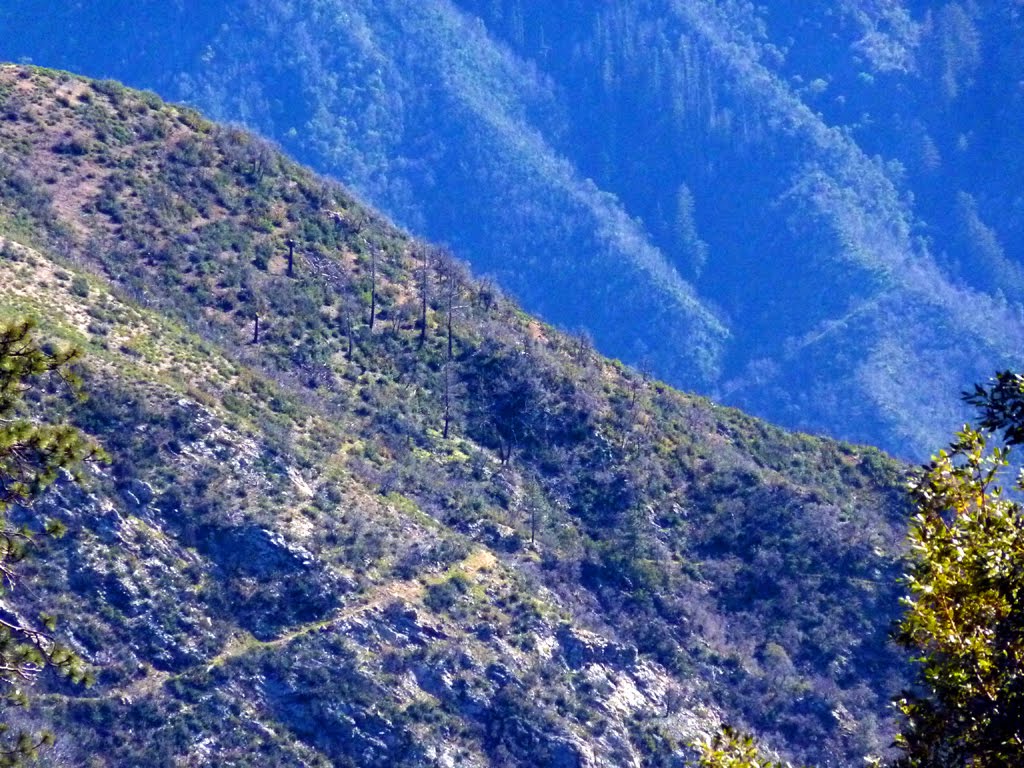 Joe's hiking adventures: Pine Ridfe Trail May 2011