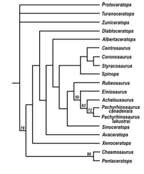 Mesozoic Musings at Jurassic Forest: Cladistics - How we understand ...