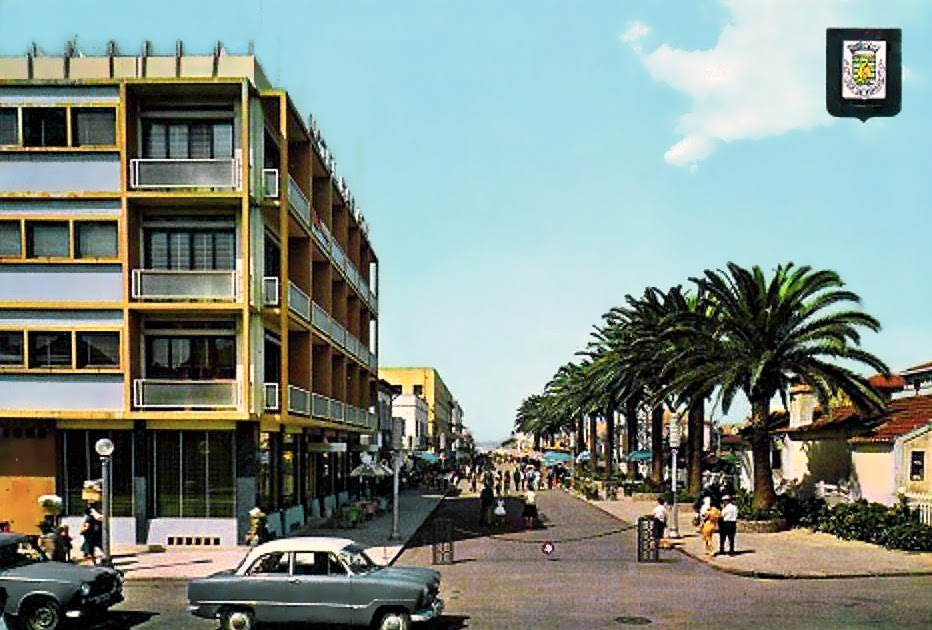 Retratos de Portugal: Espinho - Avenida 8