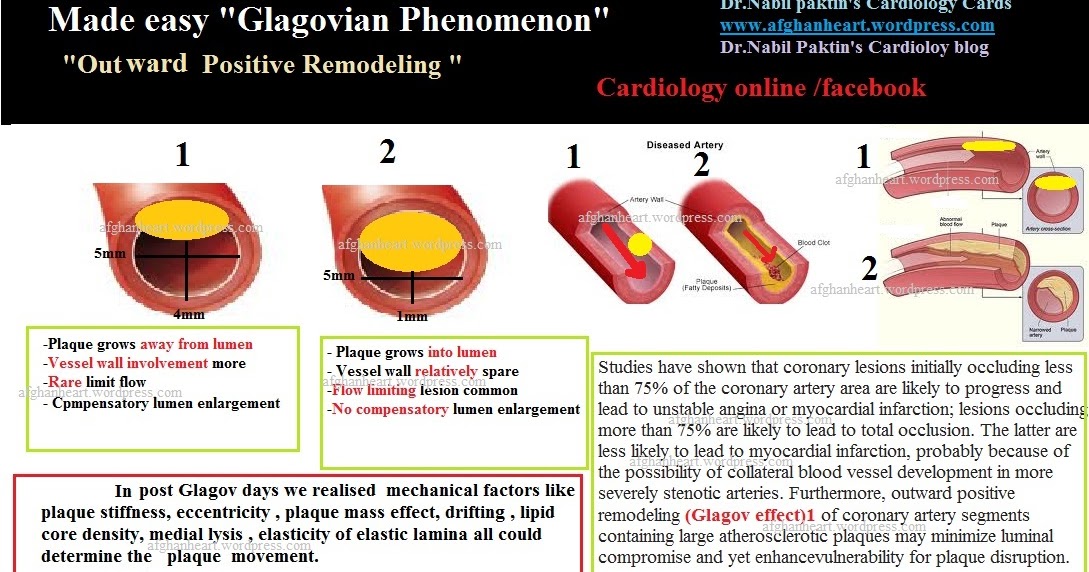 Dr.Nabil Paktin's Cardiology Blog مجله کاردیولوژی دکتور نبــیل پاکطـین ...