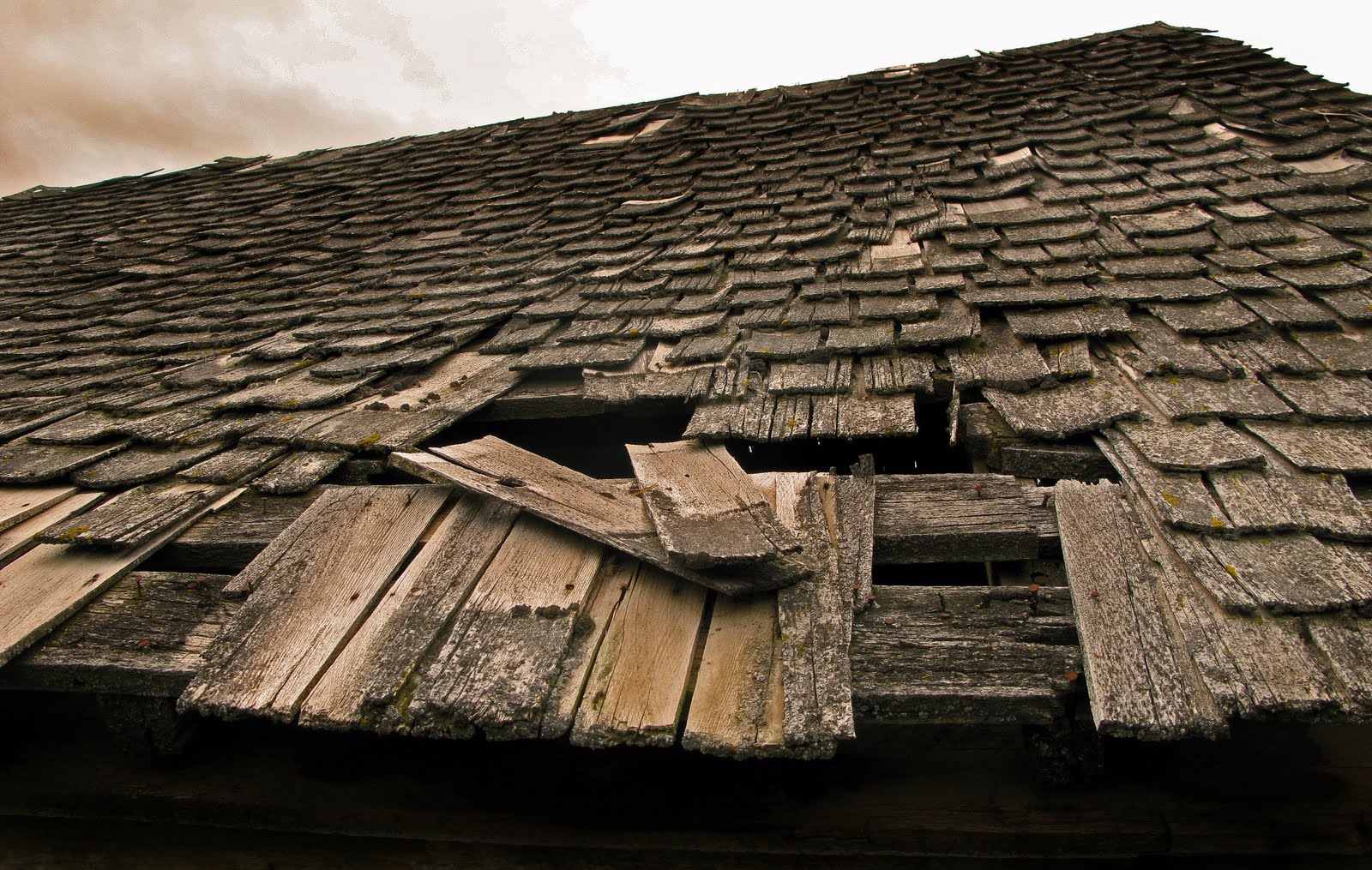 Pilot Rock HS Photography: (SS) Old Barn Roof by Mr. Johnson