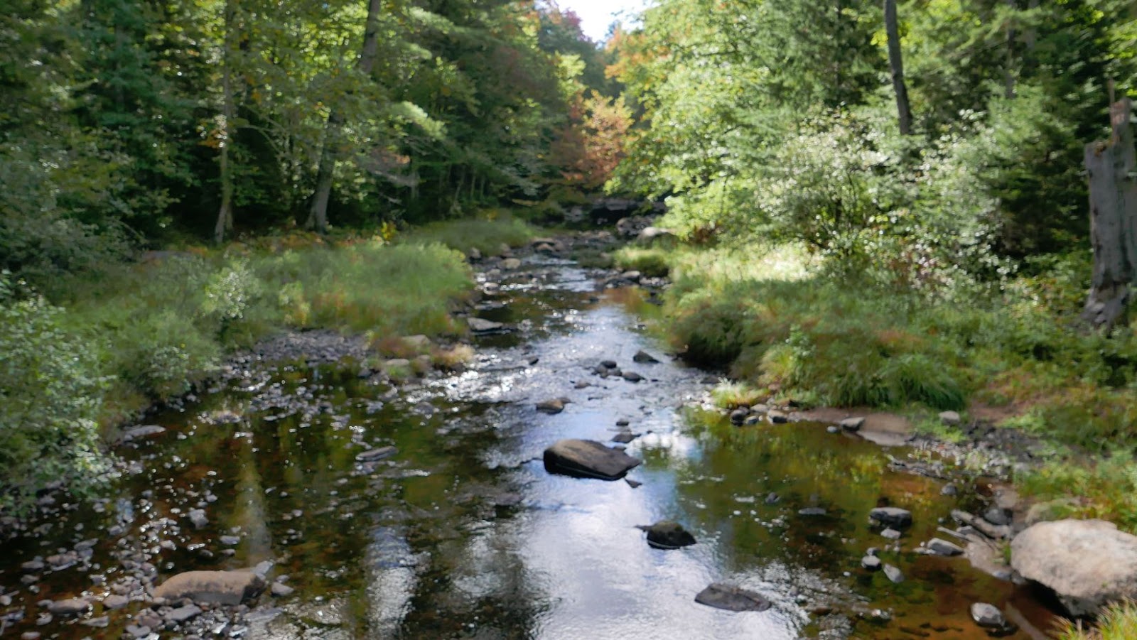 A Little Wild: Whitehouse to Piseco on the NLPT