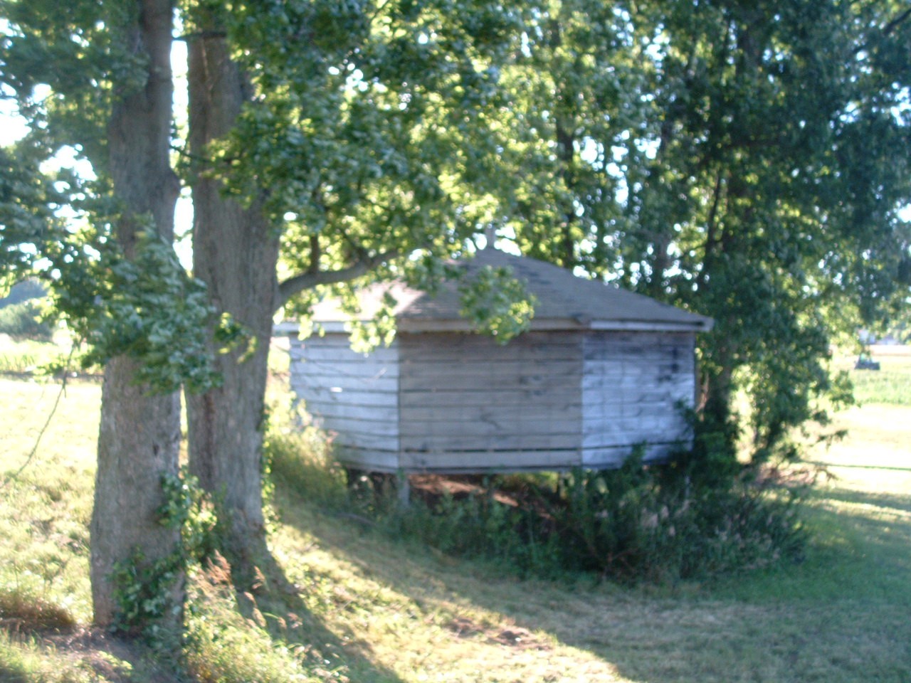 Ohio Microfarm: The Bee Barn - A European style apiary