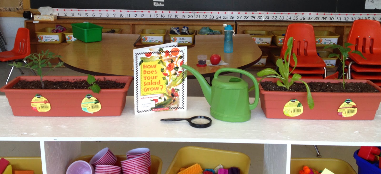 Play, Learn and Grow Together in Kindergarten: Our Classroom Garden
