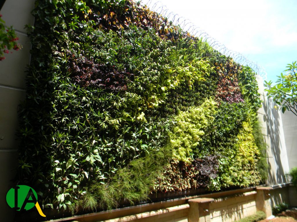 Gambar Desain Taman Vertikal (Vertical garden)