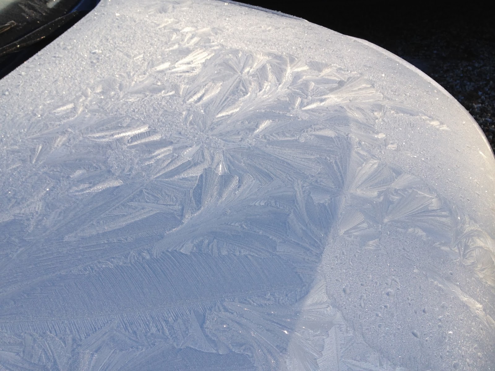 POLITIZINE.COM: Cool, literally, ice fractals on cars ...