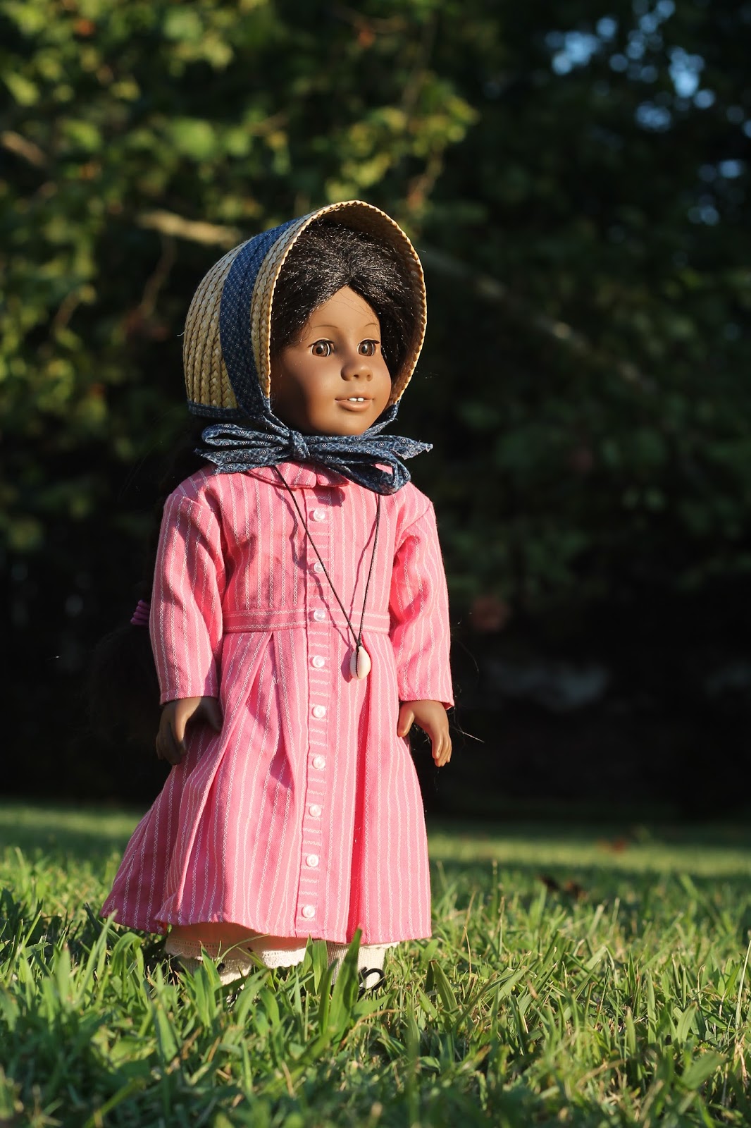A Doll's Life : Meet Addy!