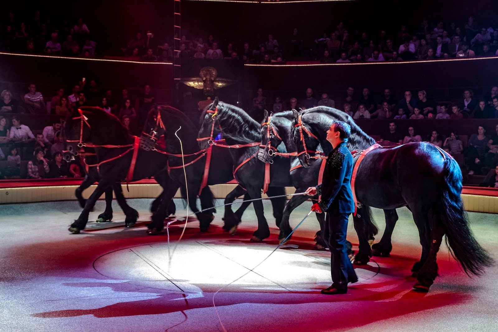 Au bout de la corde: Extra – au cirque d'hiver