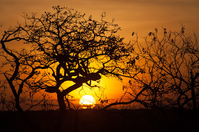 Blog do Mendes & Mendes: SERTÃO, VELHO SERTÃO NORDESTINO - 28 DE AGOSTO ...