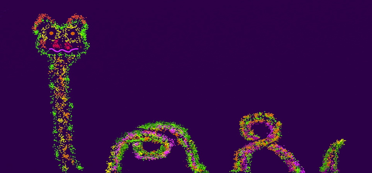 The Cross & The Cosmos : Cliplodocus - Hocus Pocus