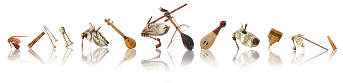 TRADICIONALNI INSTRUMENTI: TRADICIONALNI MUZICKI INSTRUMENTI