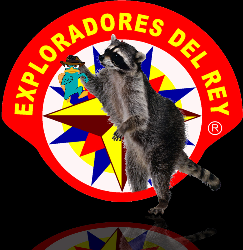exploradores del rey