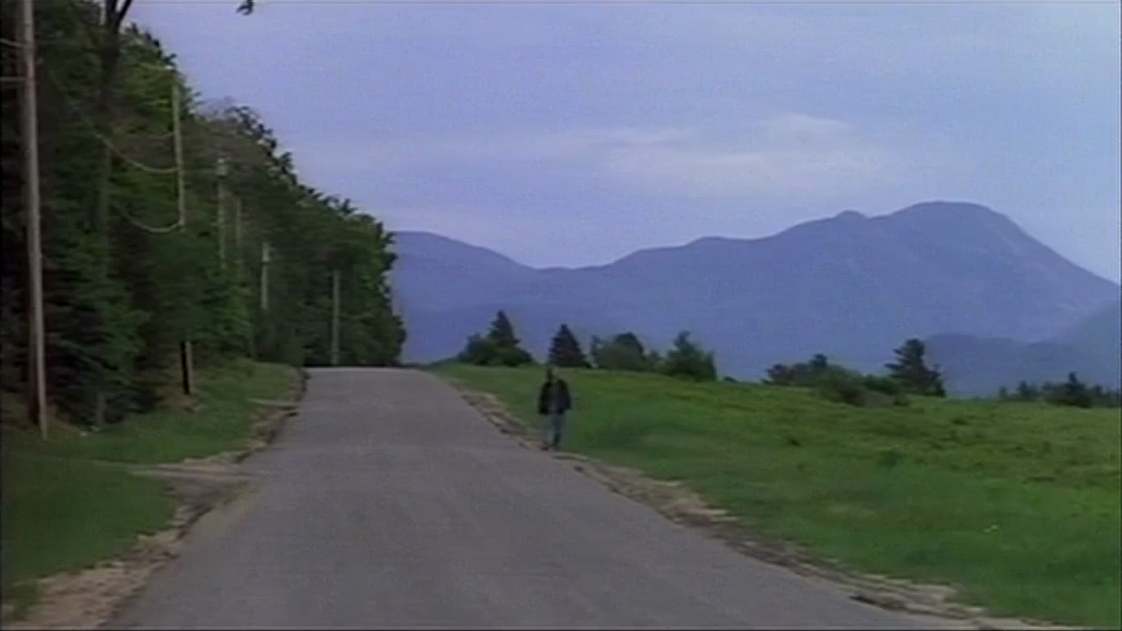 Movies GTM: Parallel Sons (1995)