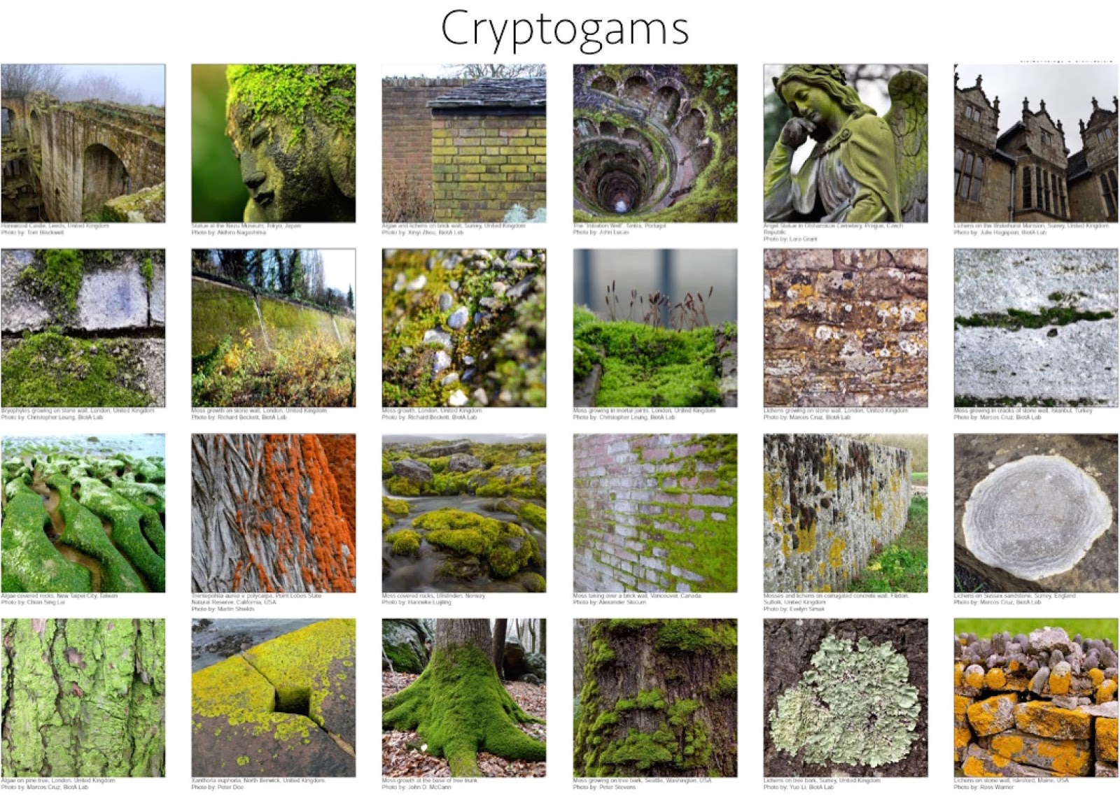 Marcos Cruz Architect