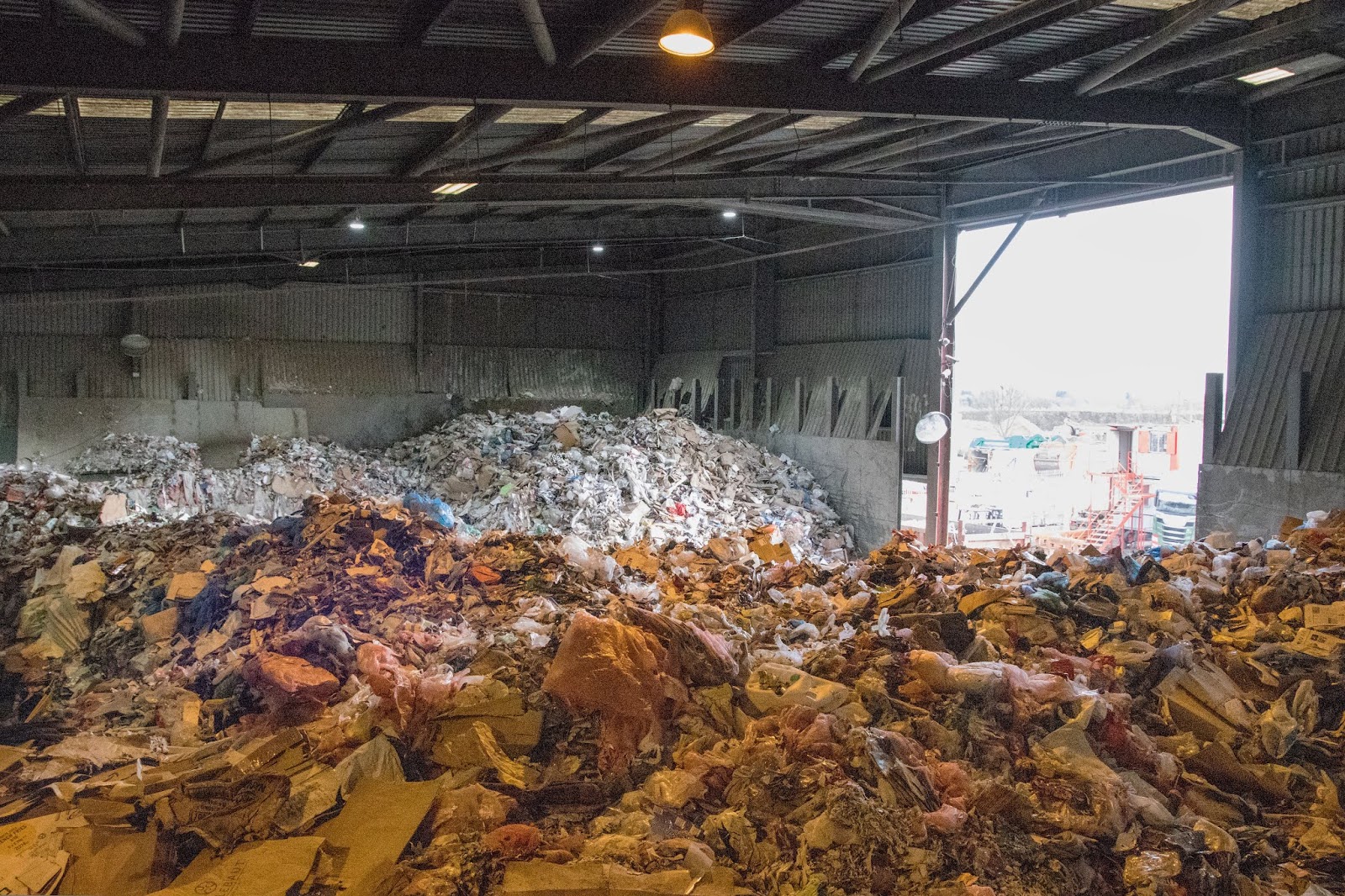 What Happens in a Recycling Plant?