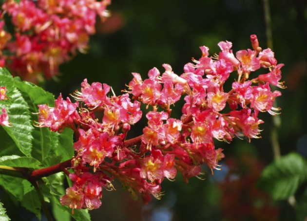 Artius Terapia: octubre 2016