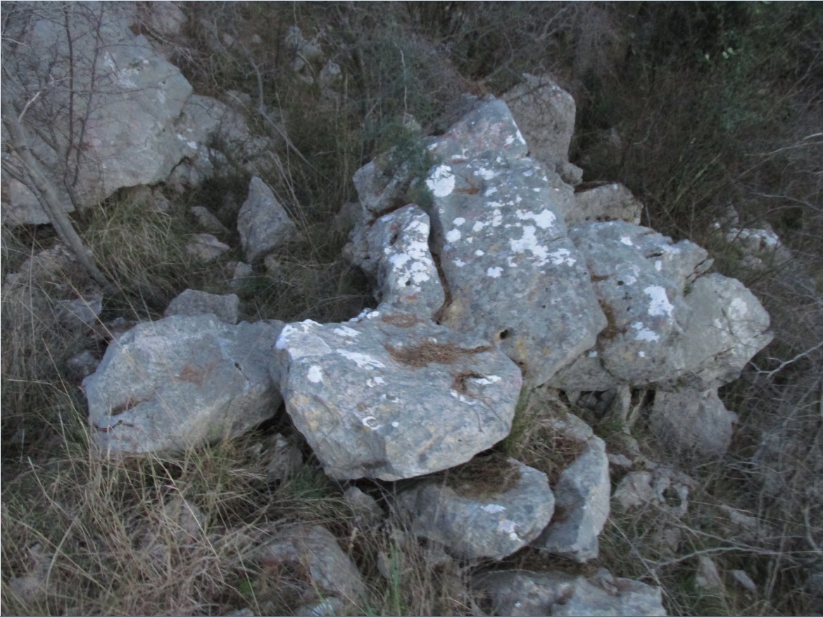 NEVJEROJATNO: OGROMAN ILIRSKO-HELENISTIČKI GRAD DREVNIH DAORSA KRIJE SE ...