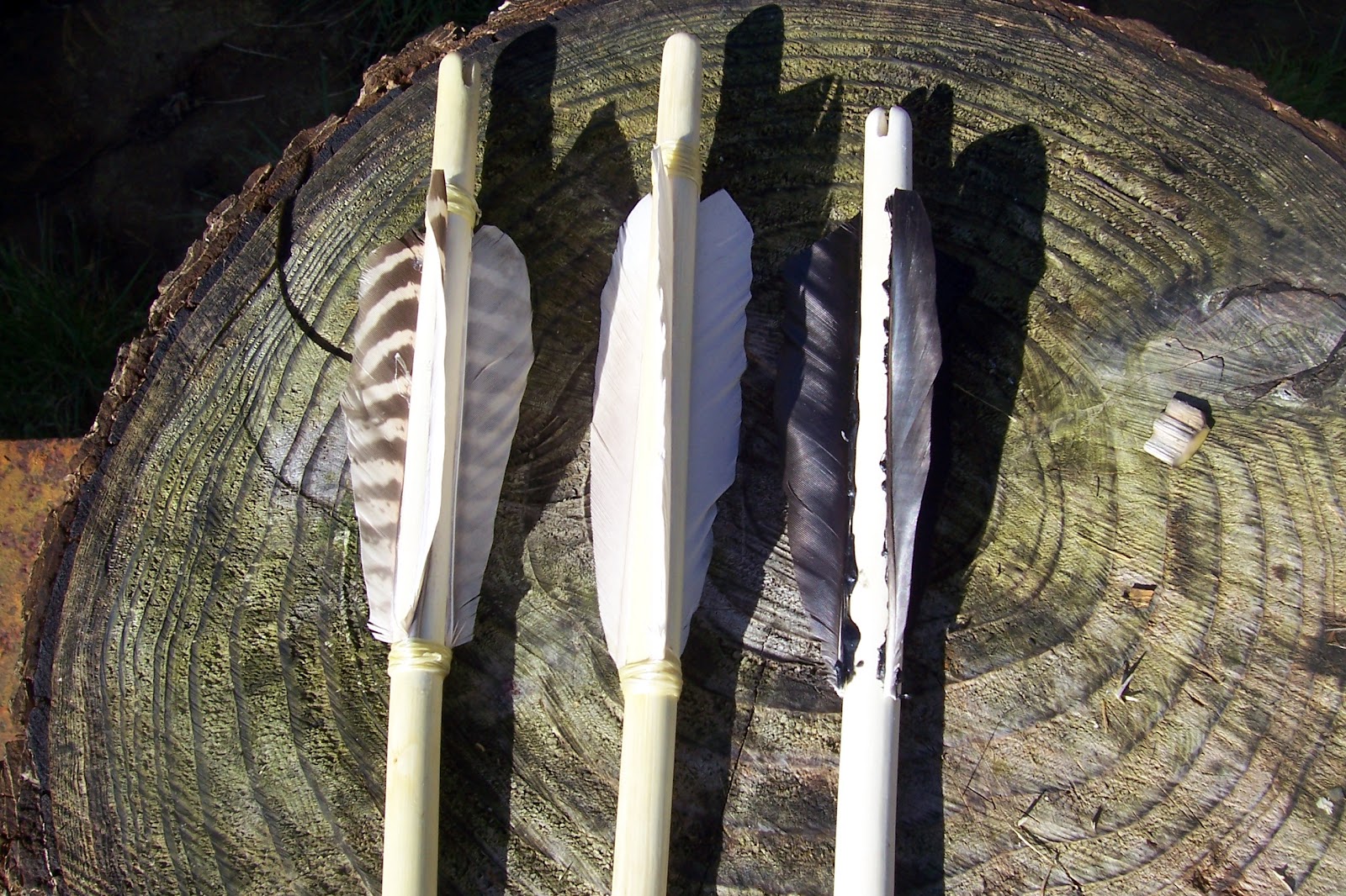 BUZZARD BUSHCRAFT: Primitive Arrows