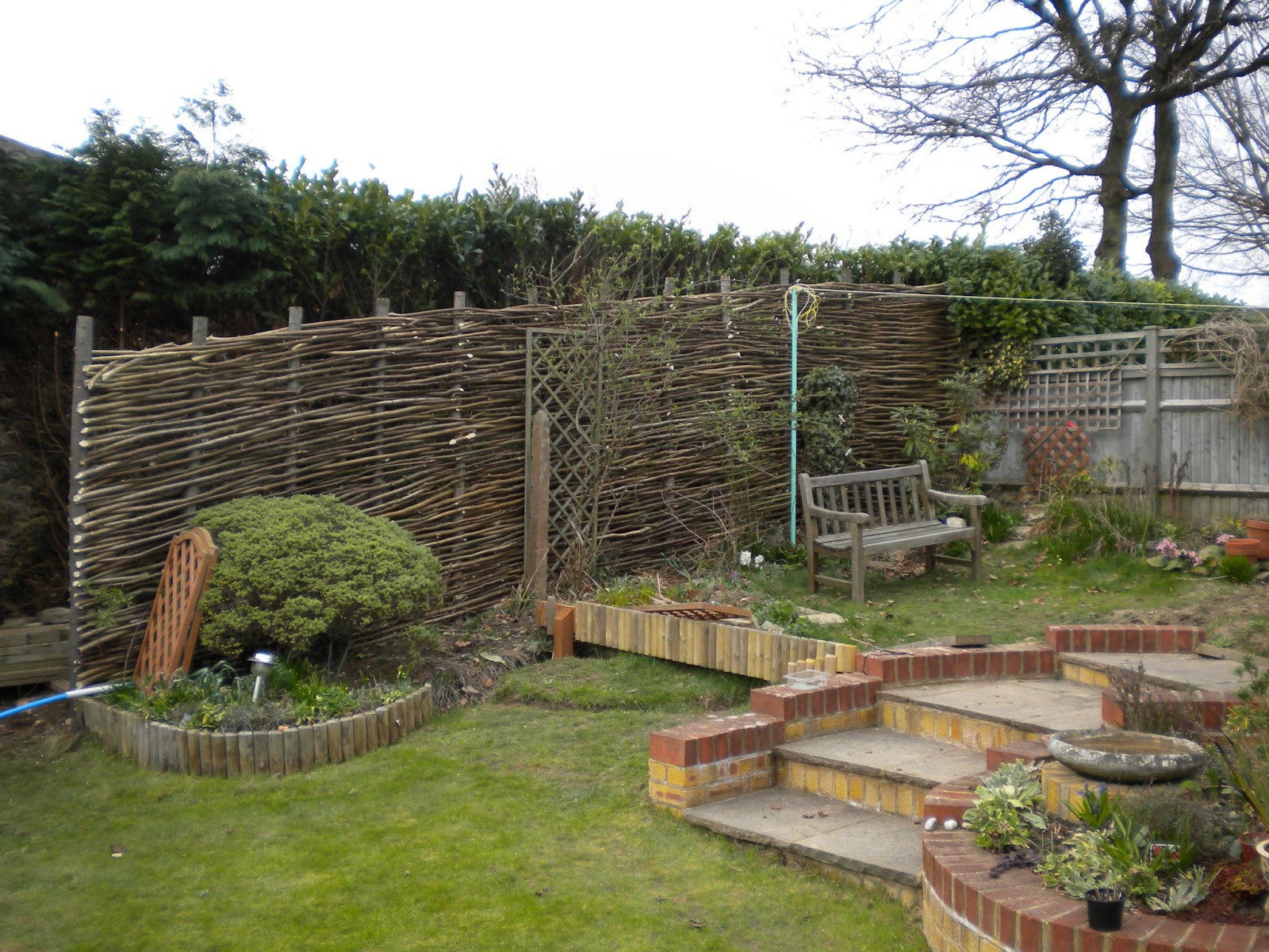 growing health by design: ~ willow weaving