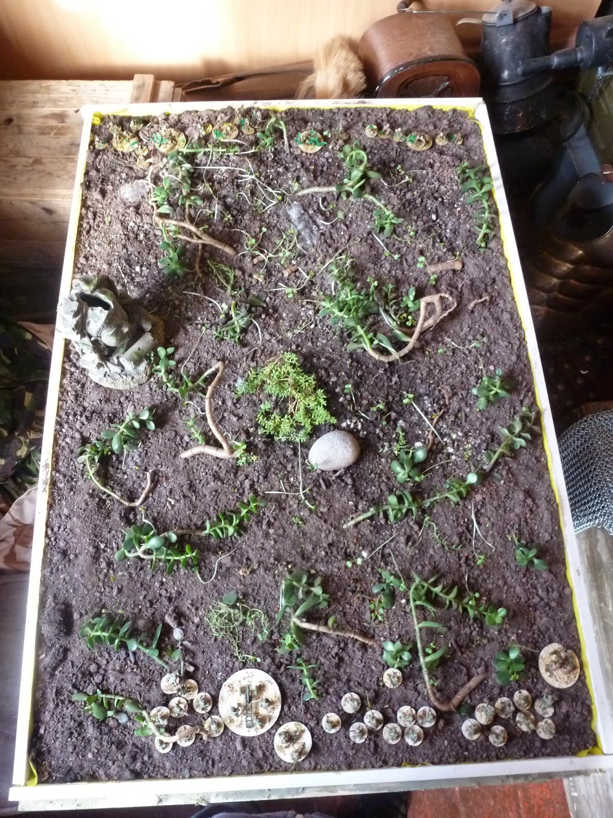 A Tale Of Bearded Wargamers: USMC:- First Blood