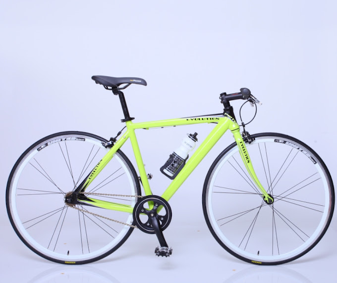 United Fixie Evolution