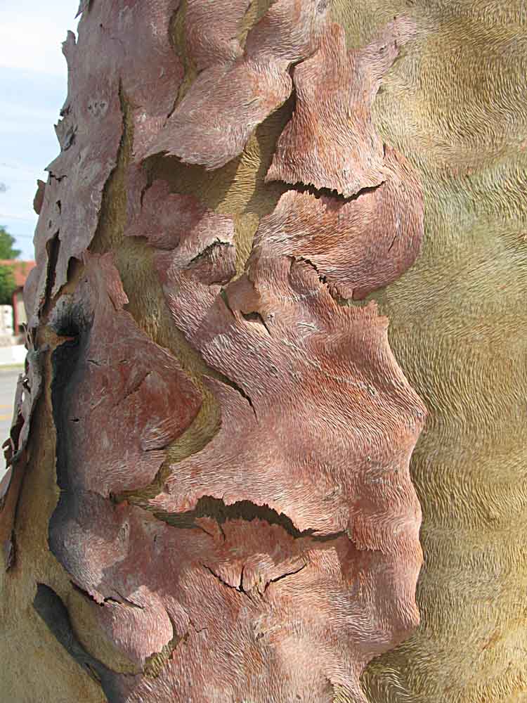 Facelike - Part 2 | Mixed Meters