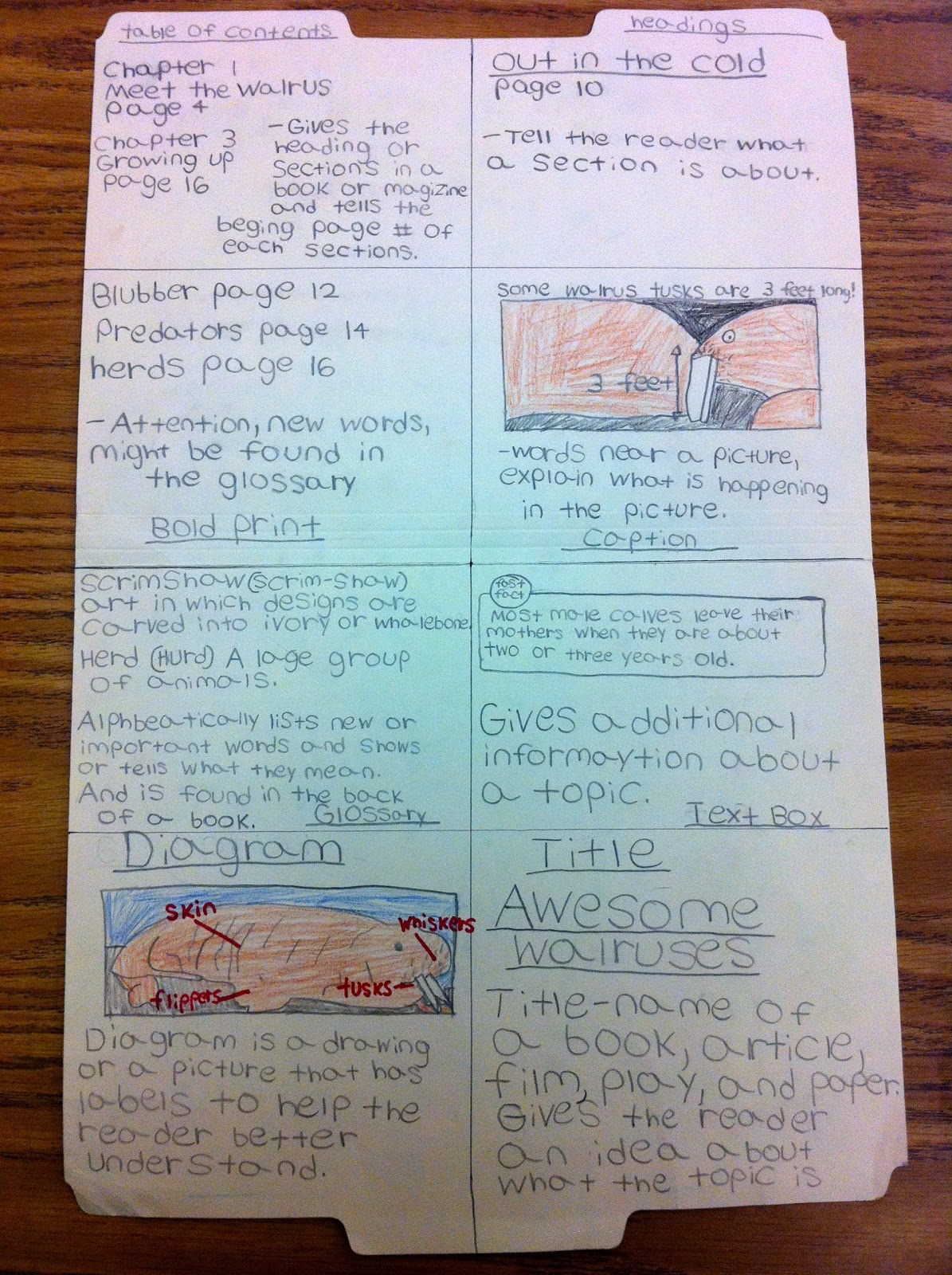 Non-Fiction File Folder Project - Elementary Antics