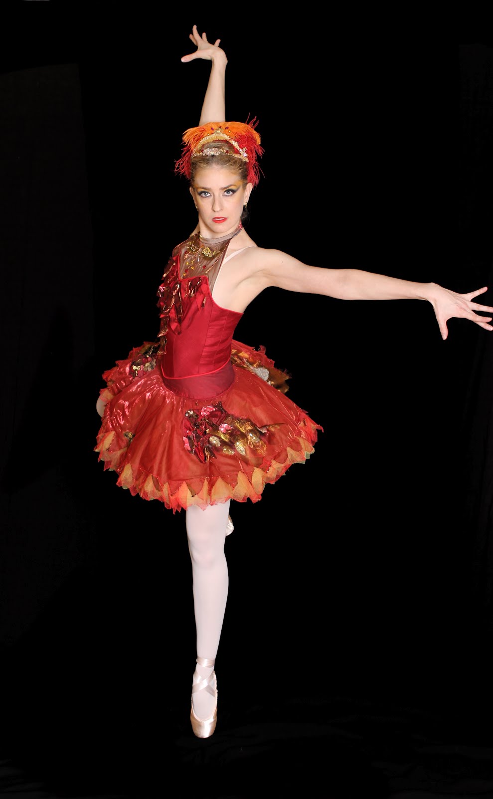 Life is a matter of perspective.....: Ballet Idaho - Firebird ...