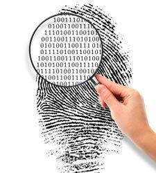 Perito en Investigacion Criminalistica: Indicios.