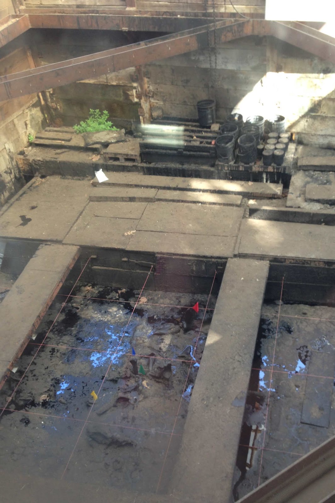 Discovering Ice Age Fossils at La Brea Tar Pits - Eva Varga