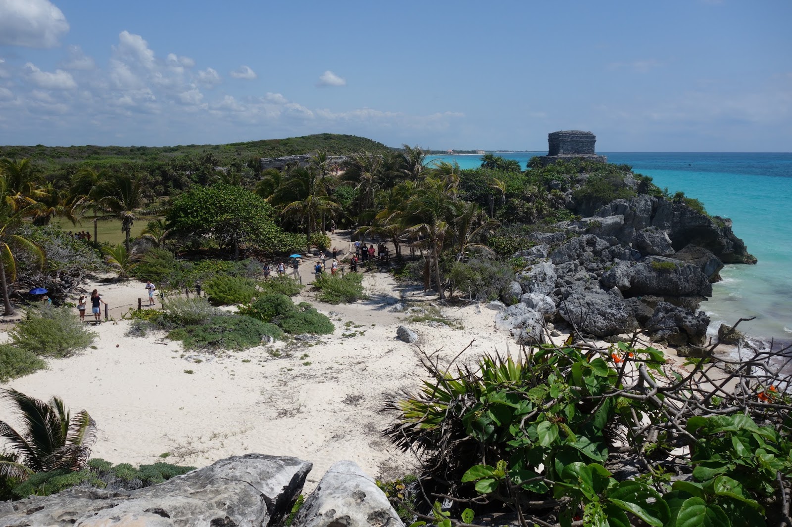 notbirding: Mexico's Yucatan Peninsula Part 3 - Punta Allen & Tulum