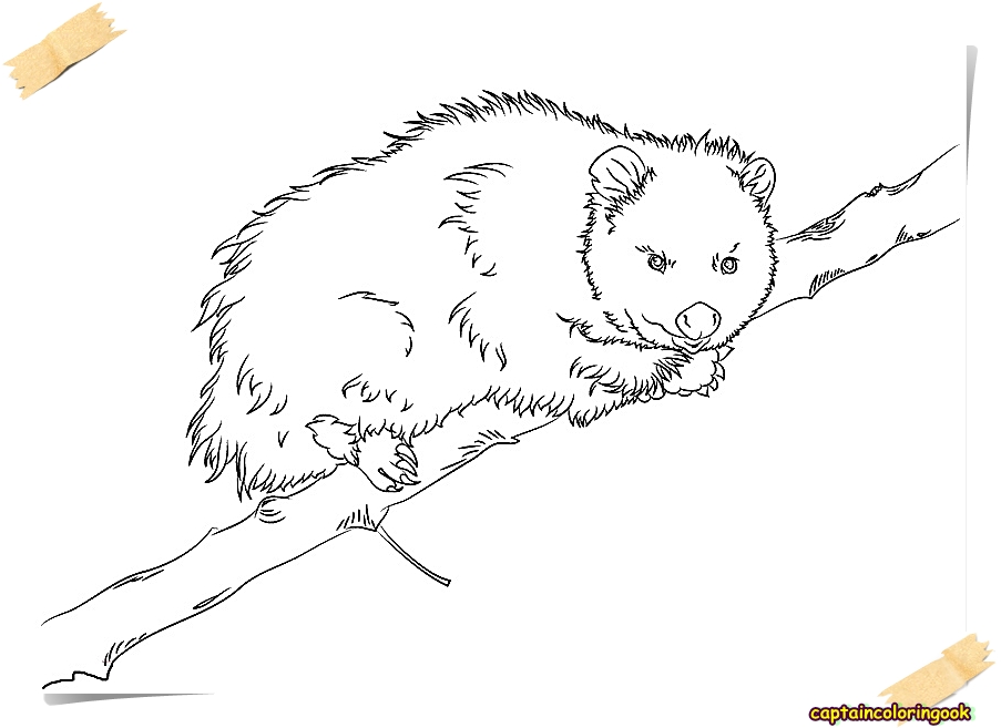 Coloring book pdf download