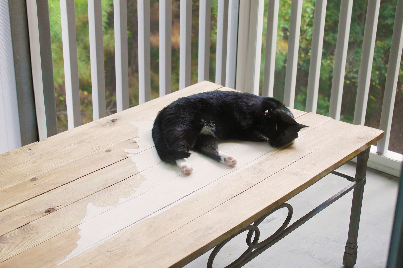 The Ink & Anchor: DIY Virginia Silhouette Wood Table