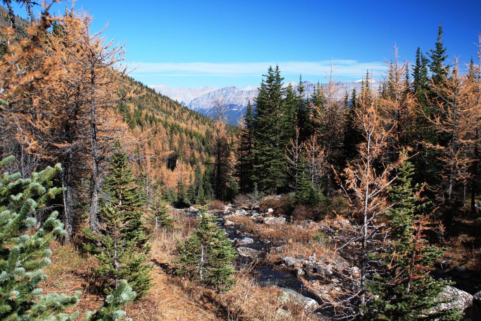 Get Me Outdoors: Moraine Lake & Larch Valley