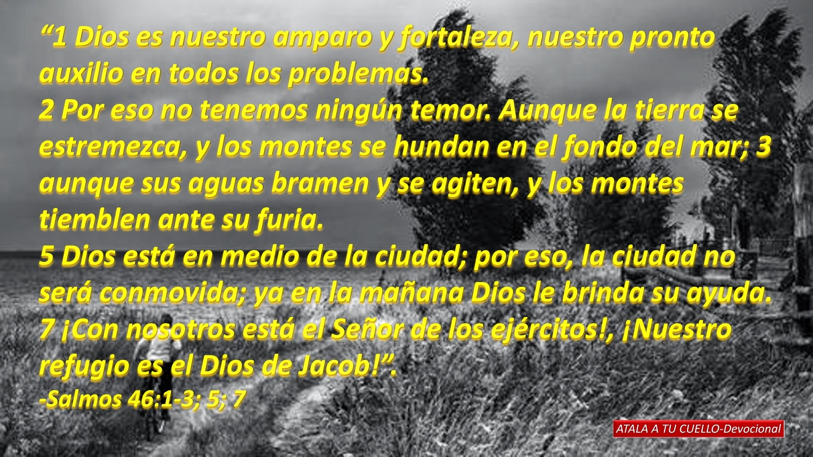 ATALA A TU CUELLO Devocional: Salmos 46