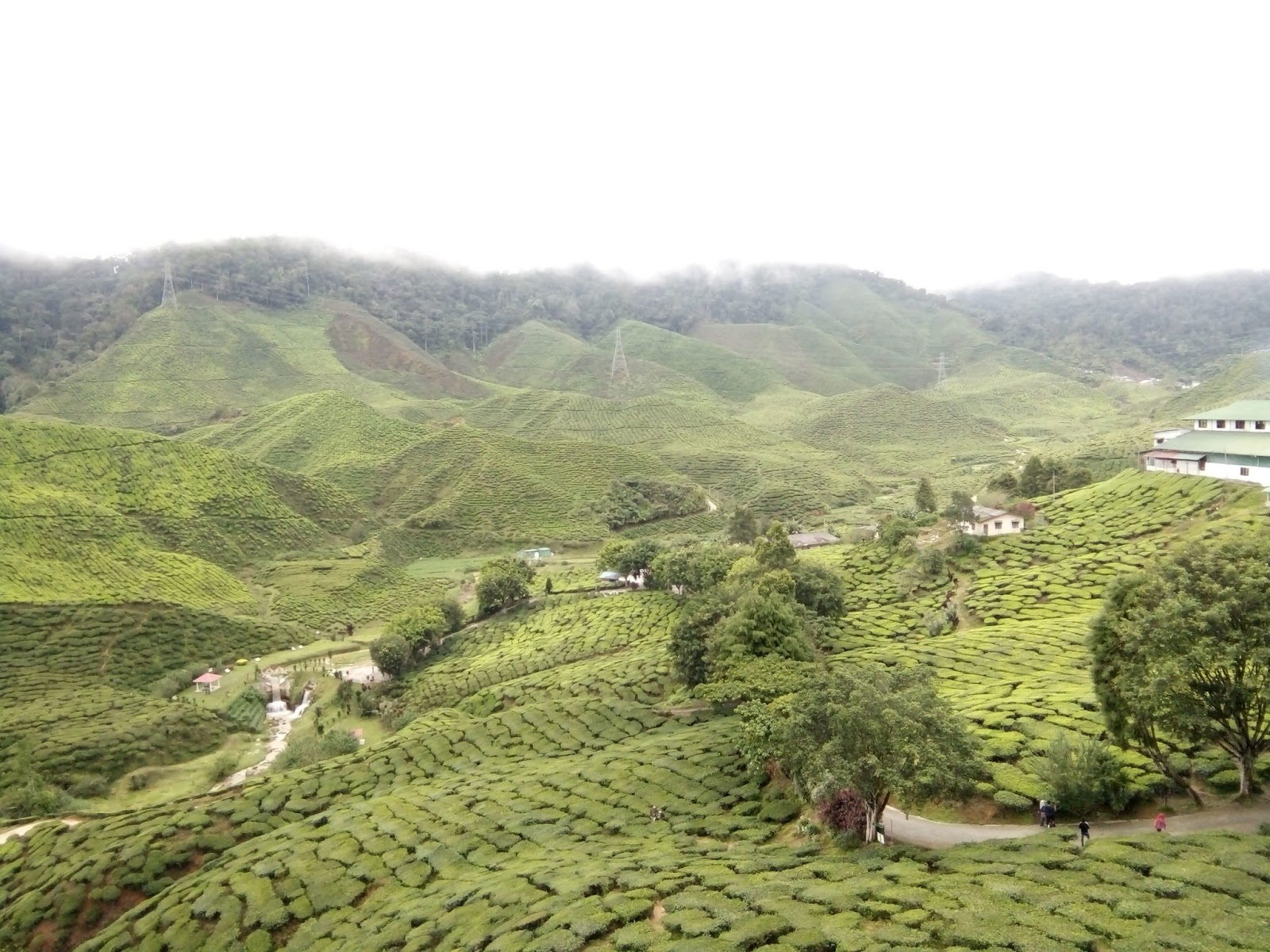 MENCARI CINTA ABADI: Destinasi Kelima Percutian di Cameron Highlands ...