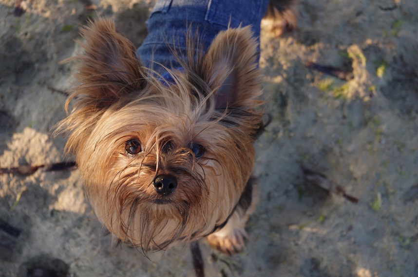 Algo Así... ♥: enero 2012