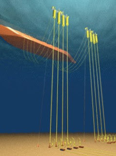 Flexible Riser - Submarine Pipeline