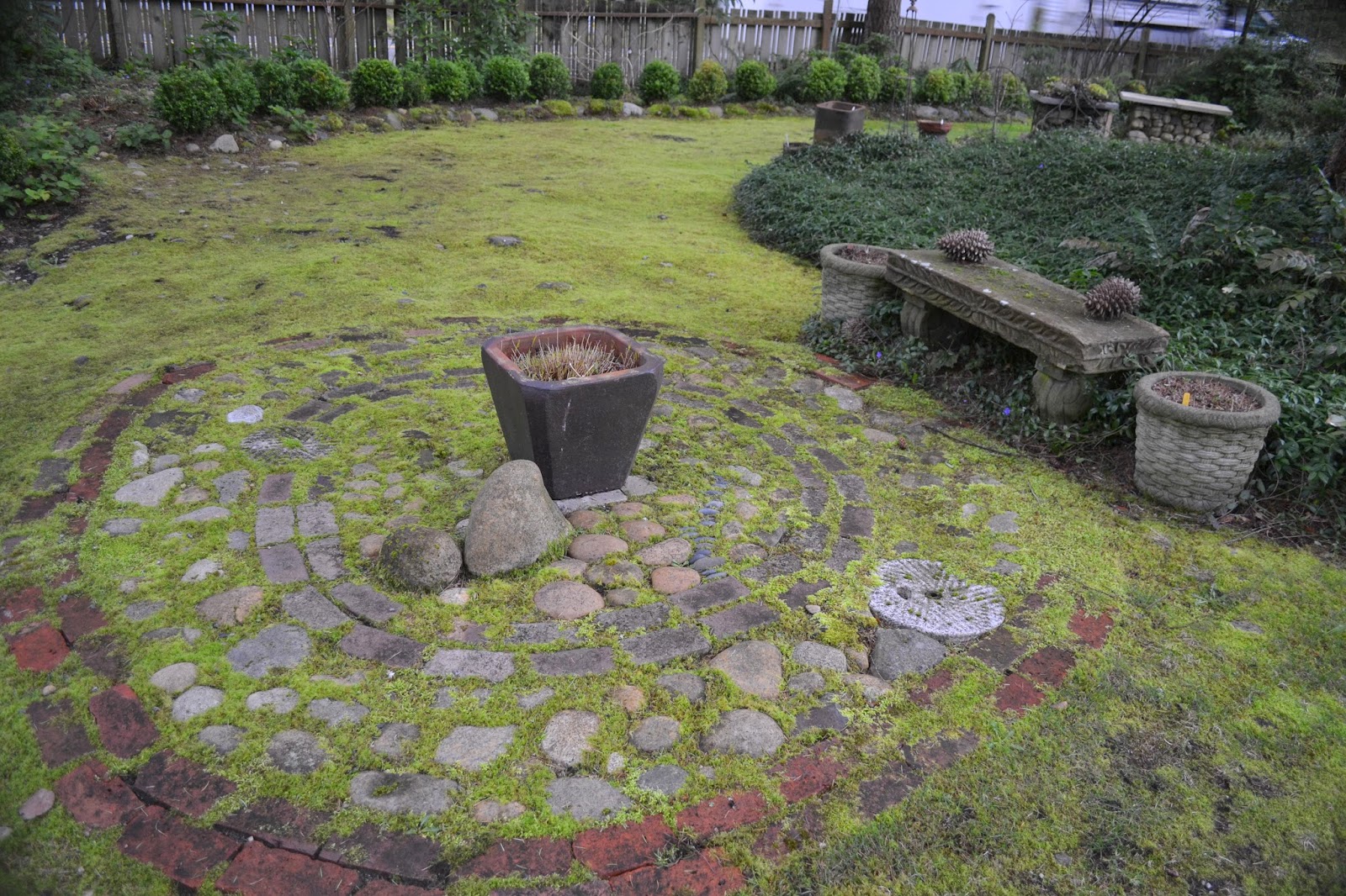 The Outlaw Gardener: A Winter Visit to The Old Goat Farm