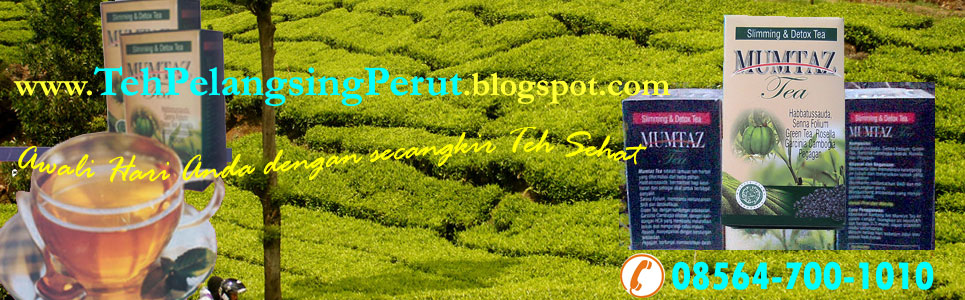 PELANGSING | PELANGSING HERBAL | TEH MUMTAZ | MUMTAZ TEA: Mumtaz Tea ...