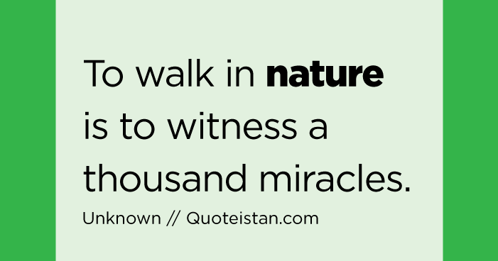 To Walk In Nature Is To Witness A Thousand Miracles