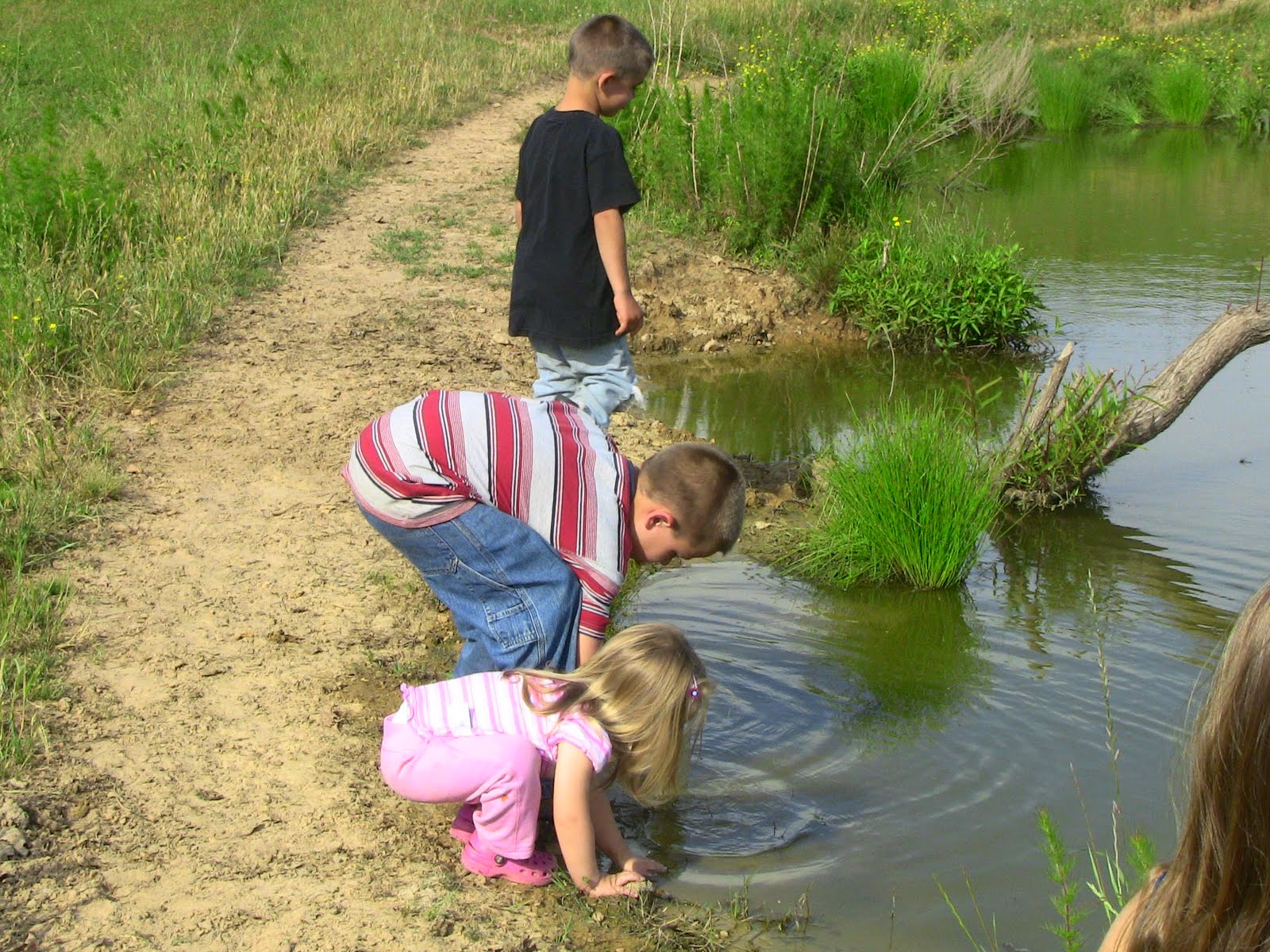 Settled In My Home: Exploring the Pond