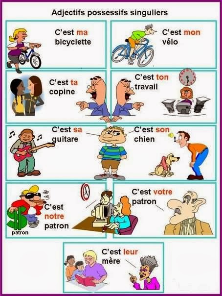 LE FLE À L' ALFRED AYZA: LA FAMILLE ET LES ADJECTIFS POSSESSIFS