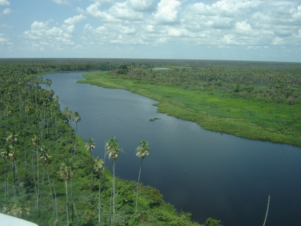 Parques Nacionales del Paraguay: Áreas Protegidas del Chaco