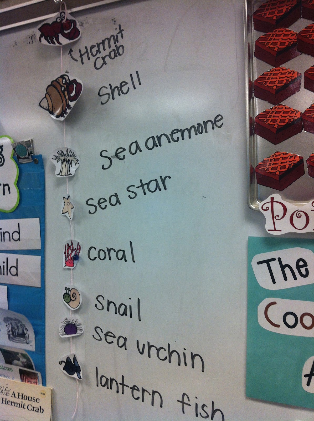 First Grader...at Last!: Marine Science Sea Lab