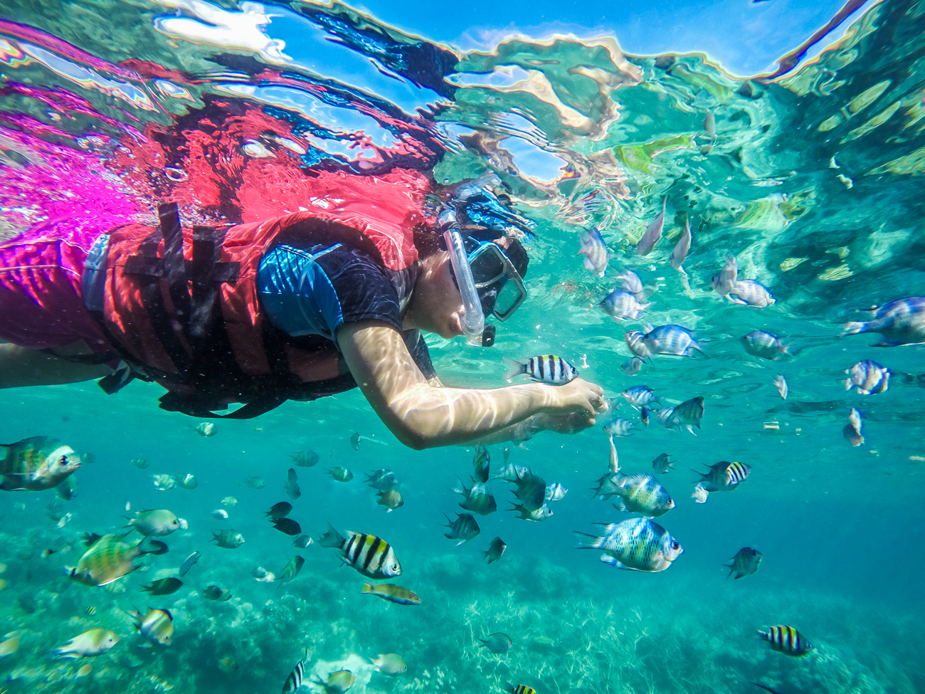 Peaches and Pearl: Palawan Adventure