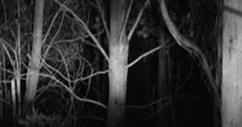 BLACK METAL SPIRIT: STRIBORG